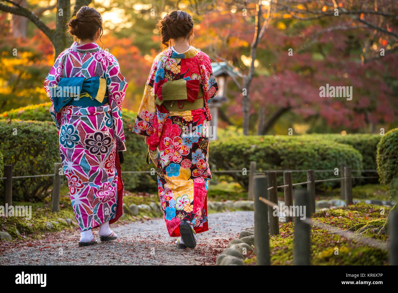 Rear view of a japanese woman wearing kimono hi-res stock photography ...