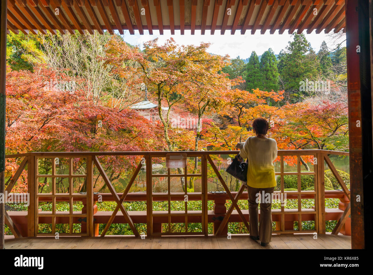 Rear view of woman standing on wooden balcony, looking out onto autumn ...