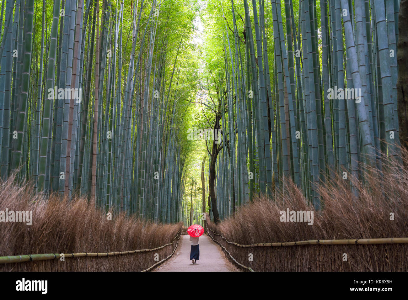 Rear view of woman carrying red traditional umbrella walking along a ...