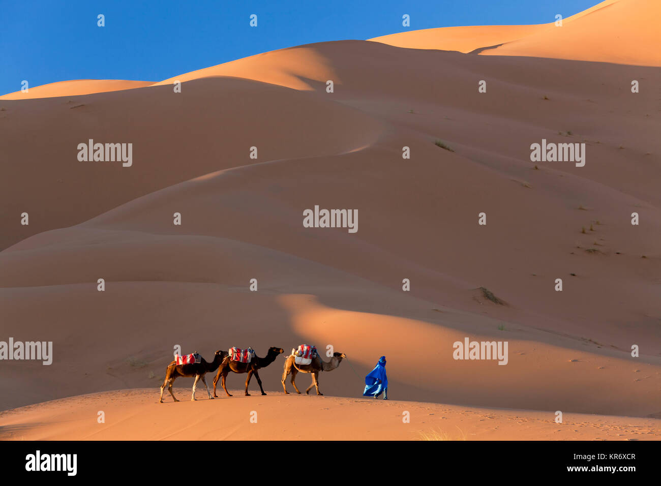 Tuareg camel train sahara desert hi-res stock photography and images ...