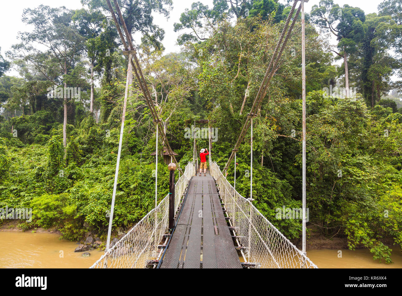 Rear view of man walking along rope tree over river in tropical rain ...