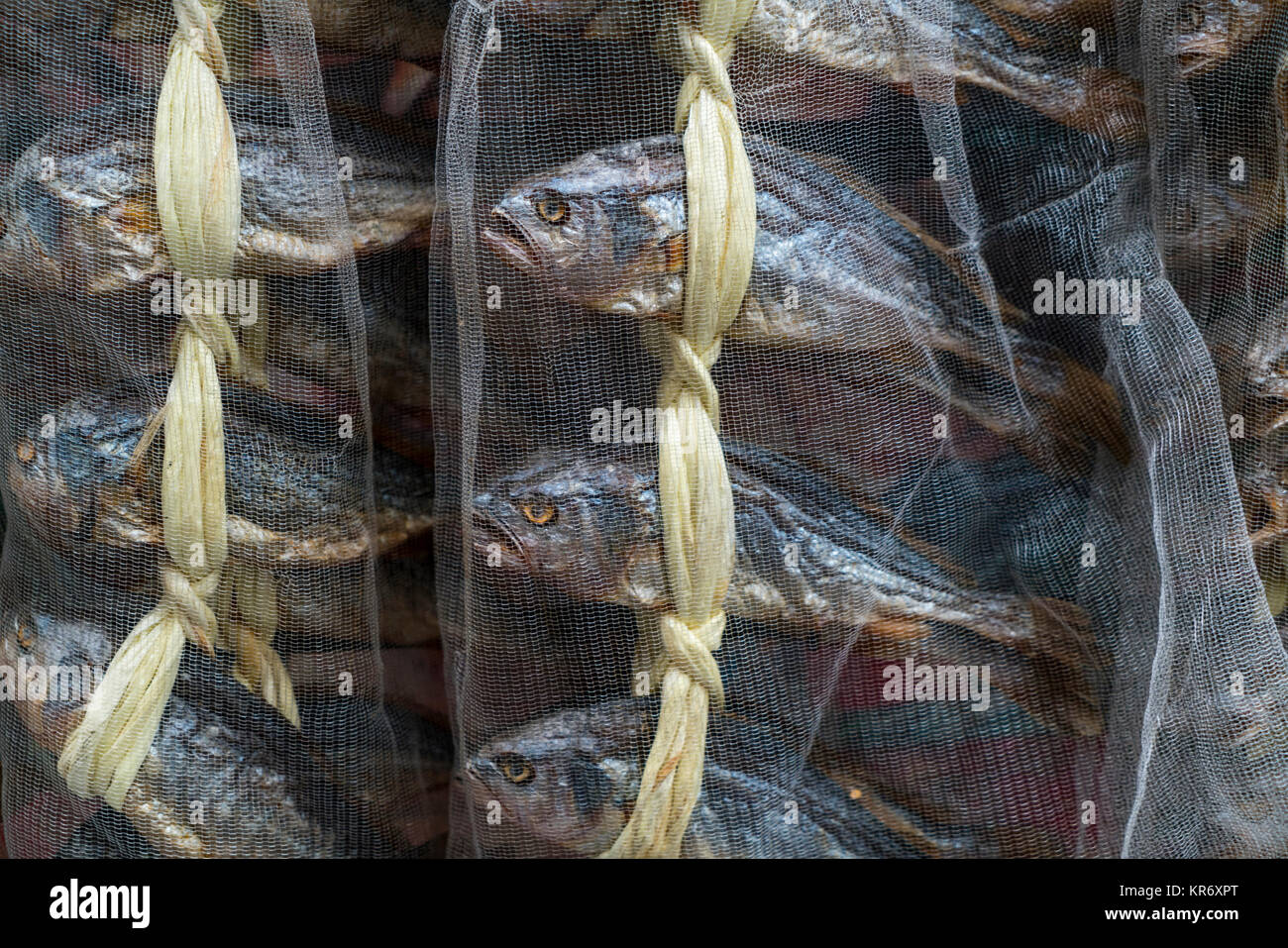 Close up of dried fish at a fish market Stock Photo - Alamy