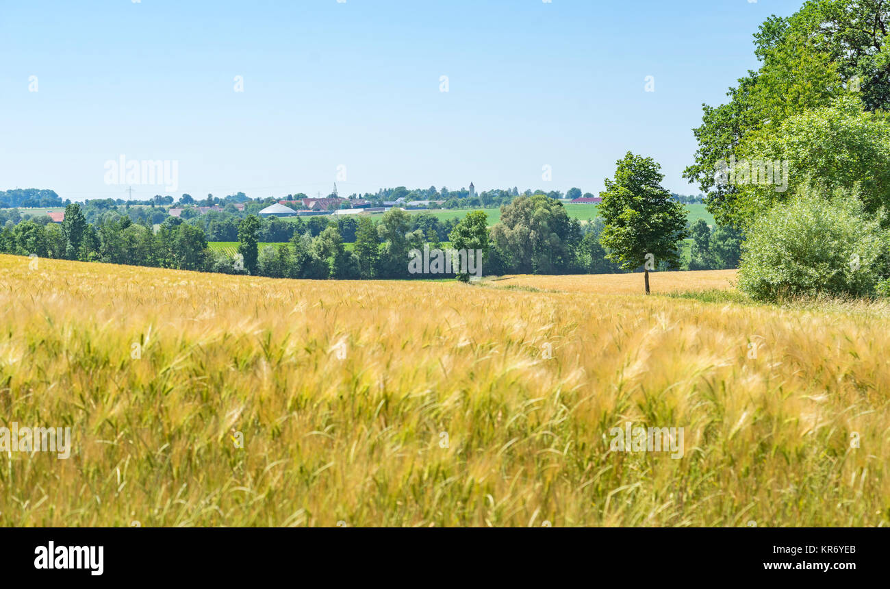 rural agricultural scenery in Hohenlohe, a area in Southern Germany ...