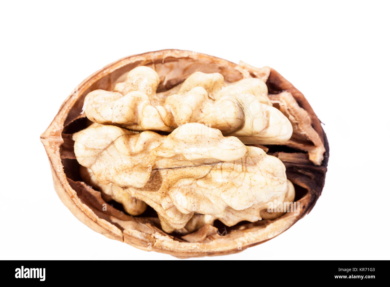Single walnut isolated on white background Stock Photo - Alamy