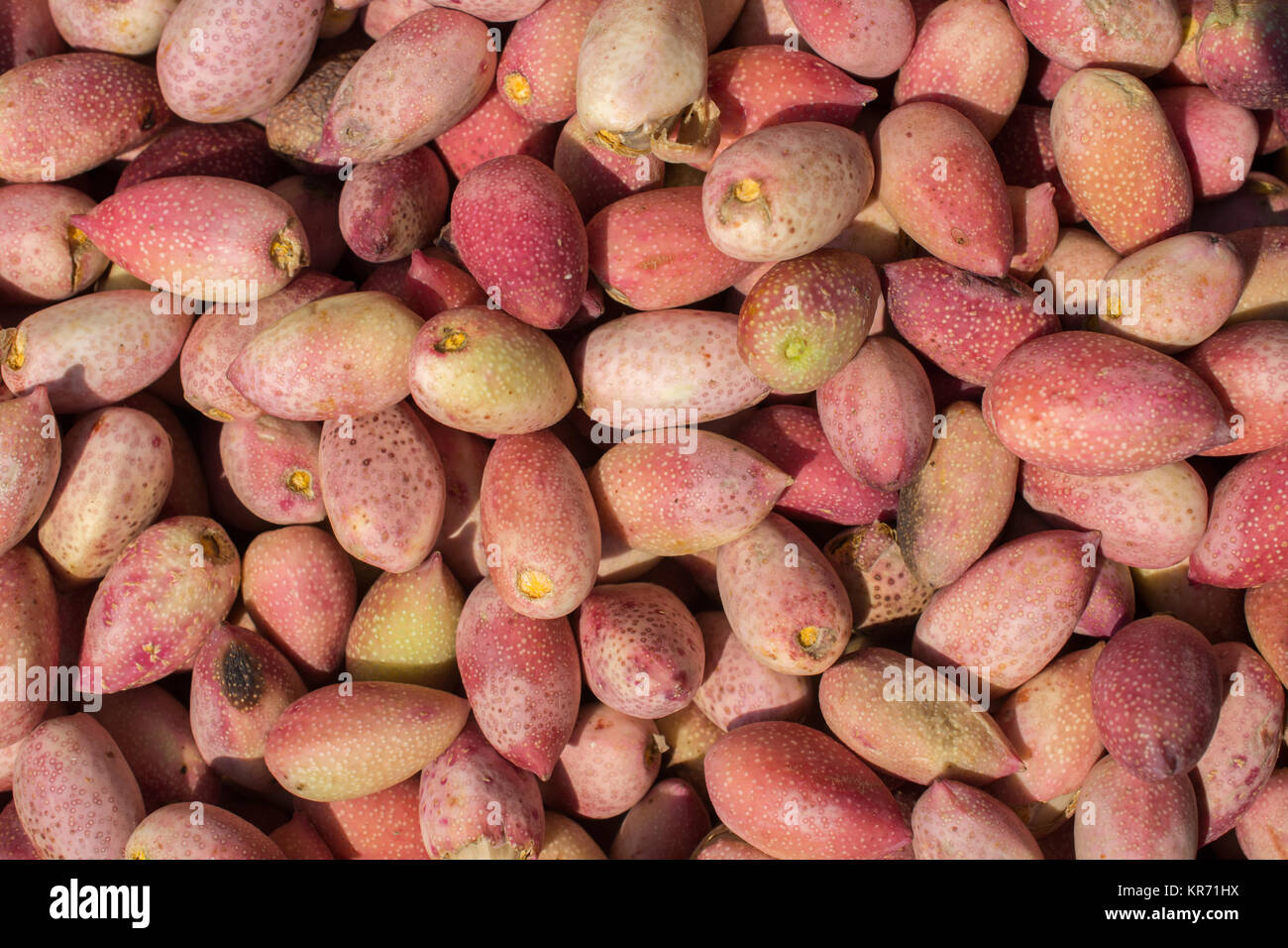 Pistachio with shell and pink skin on it Stock Photo - Alamy
