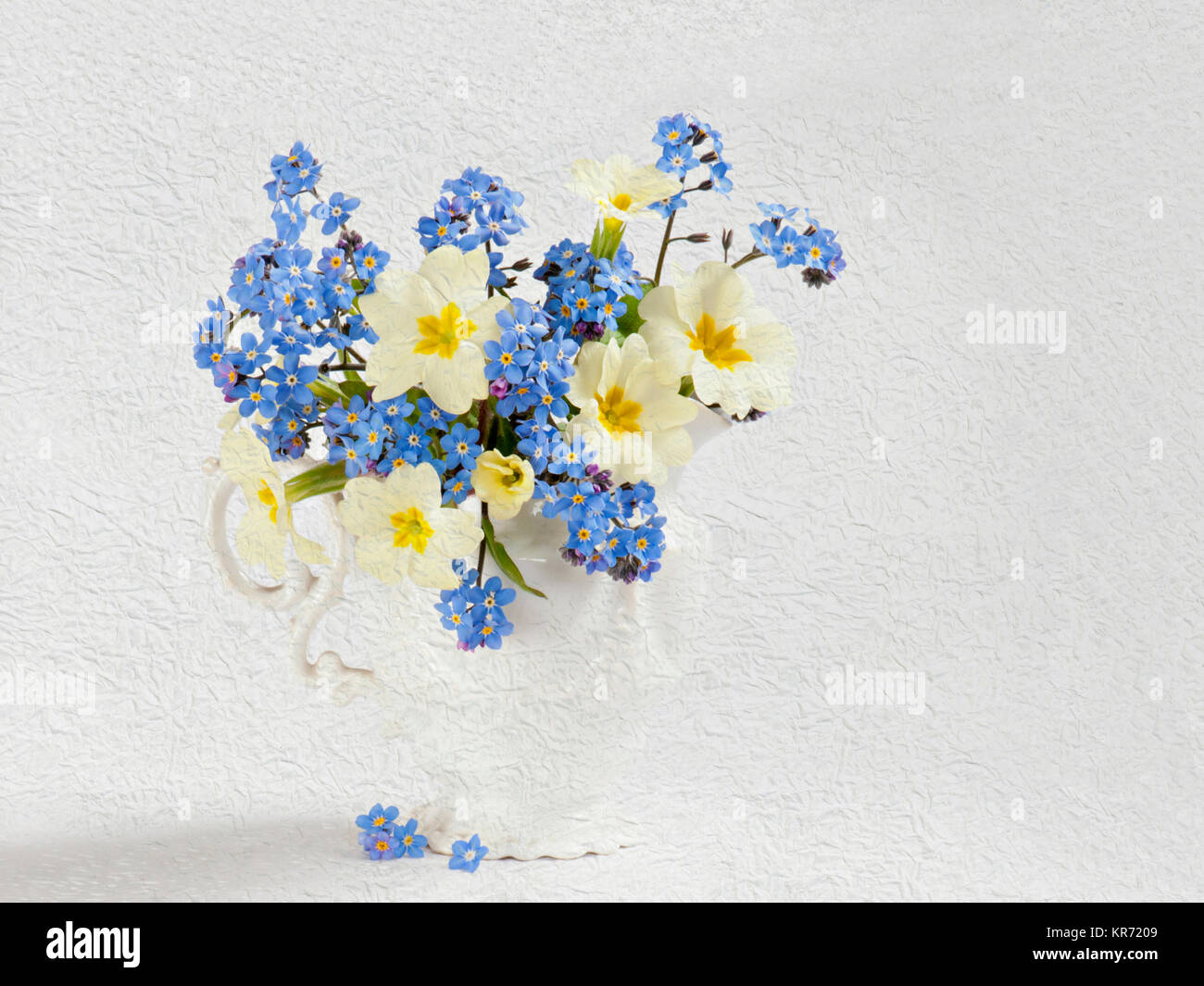 Primrose, Primula vulgaris and Forget-me-not, Myosotis arvensis posy in ...