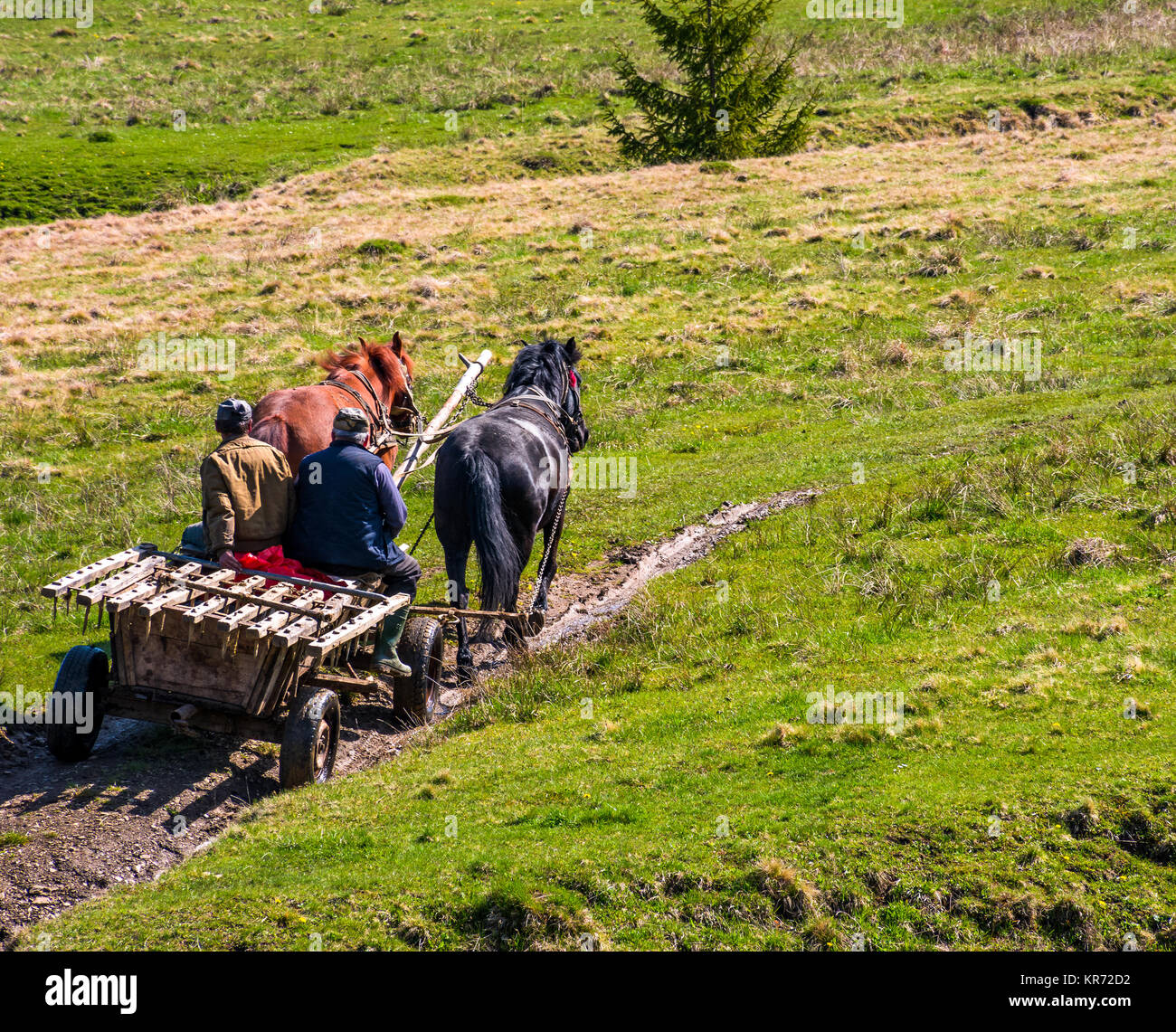 Rural traffic hi-res stock photography and images - Alamy