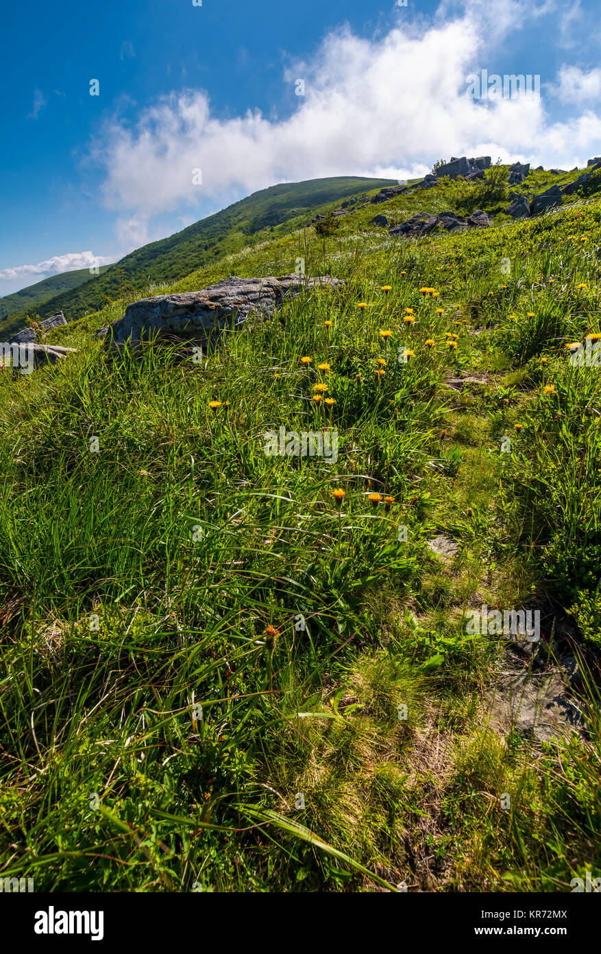 path through grassy meadow to huge boulders. beautiful mountainous ...