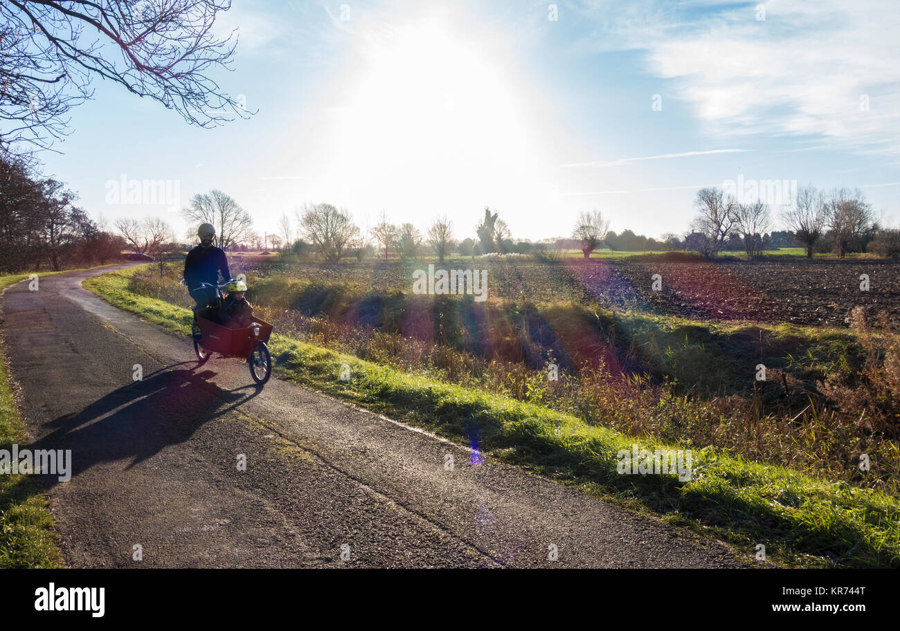 Rural lane with suns rays Stock Photo - Alamy