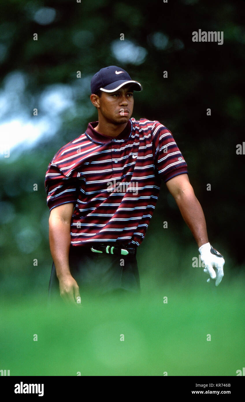 Tiger Woods competing at the 2001 Buick Classic Stock Photo - Alamy