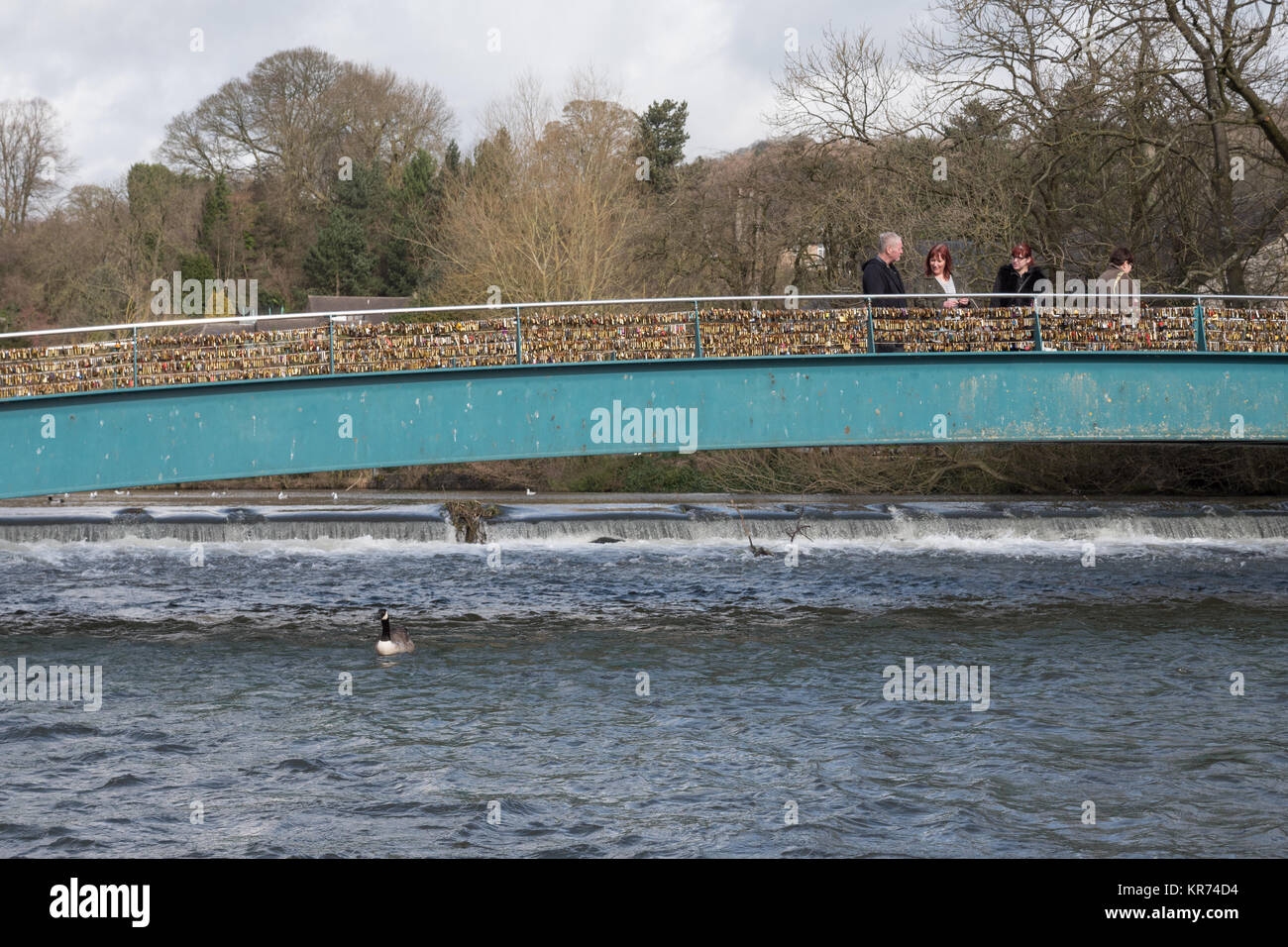 Love locks secured to the Bridge over the River Wye in Bakewell ...