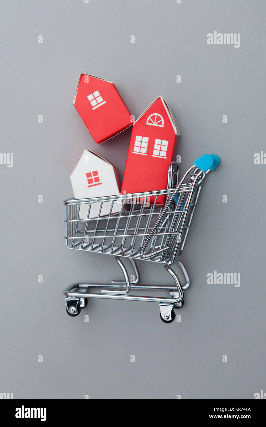 Buying a house concept. Model home in a shopping cart Stock Photo - Alamy