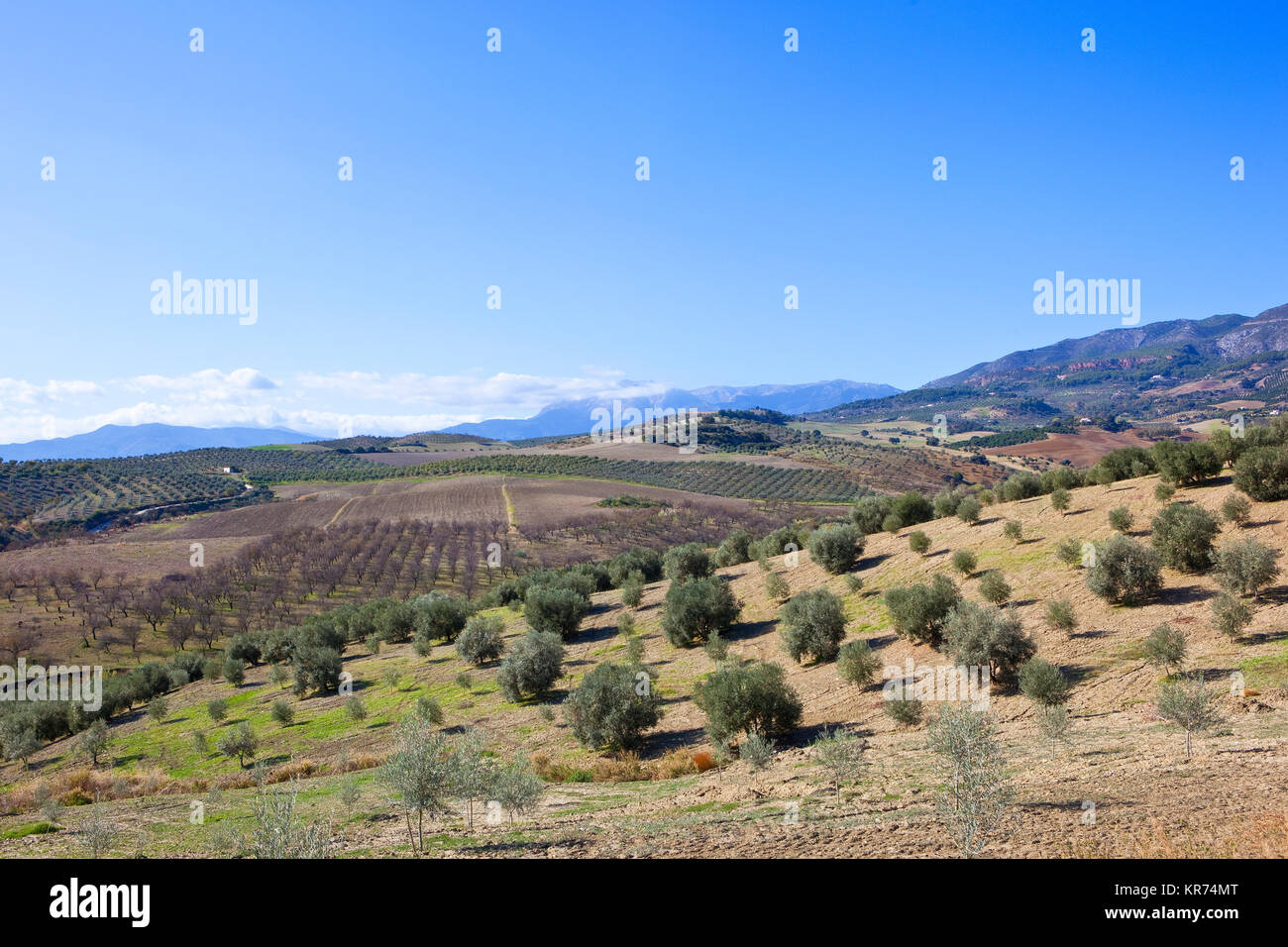Agricultural patterns spain hi-res stock photography and images - Alamy