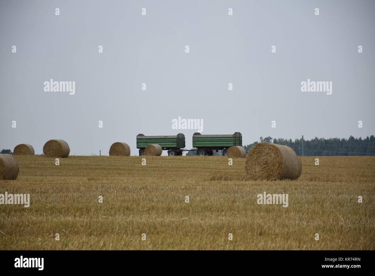 straw,straw bales,hay bales,hay,harvest,field,summer,agriculture,farmer ...