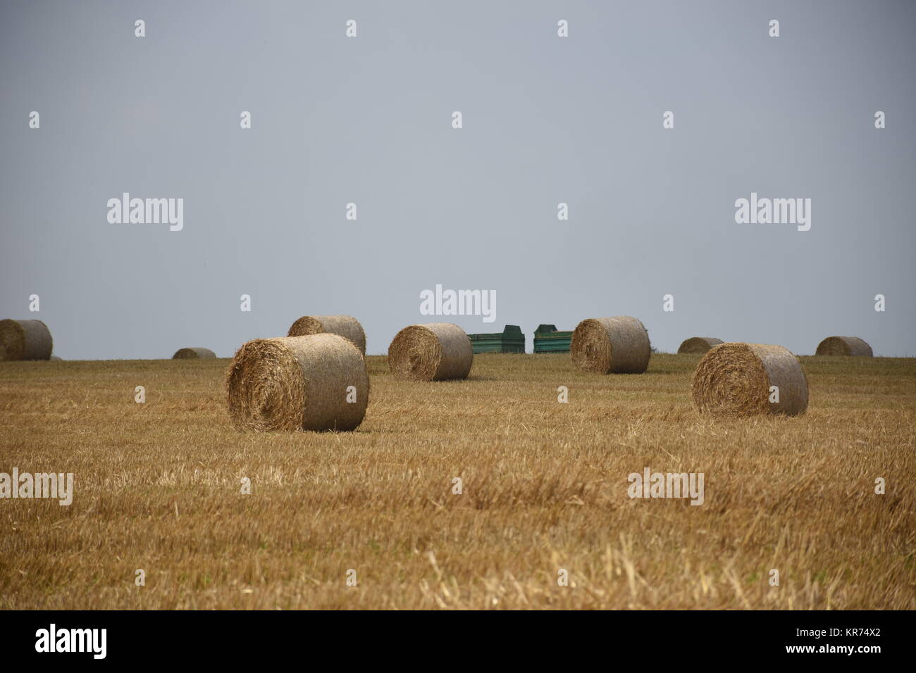 straw,straw bales,hay bales,hay,harvest,field,summer,agriculture,farmer ...