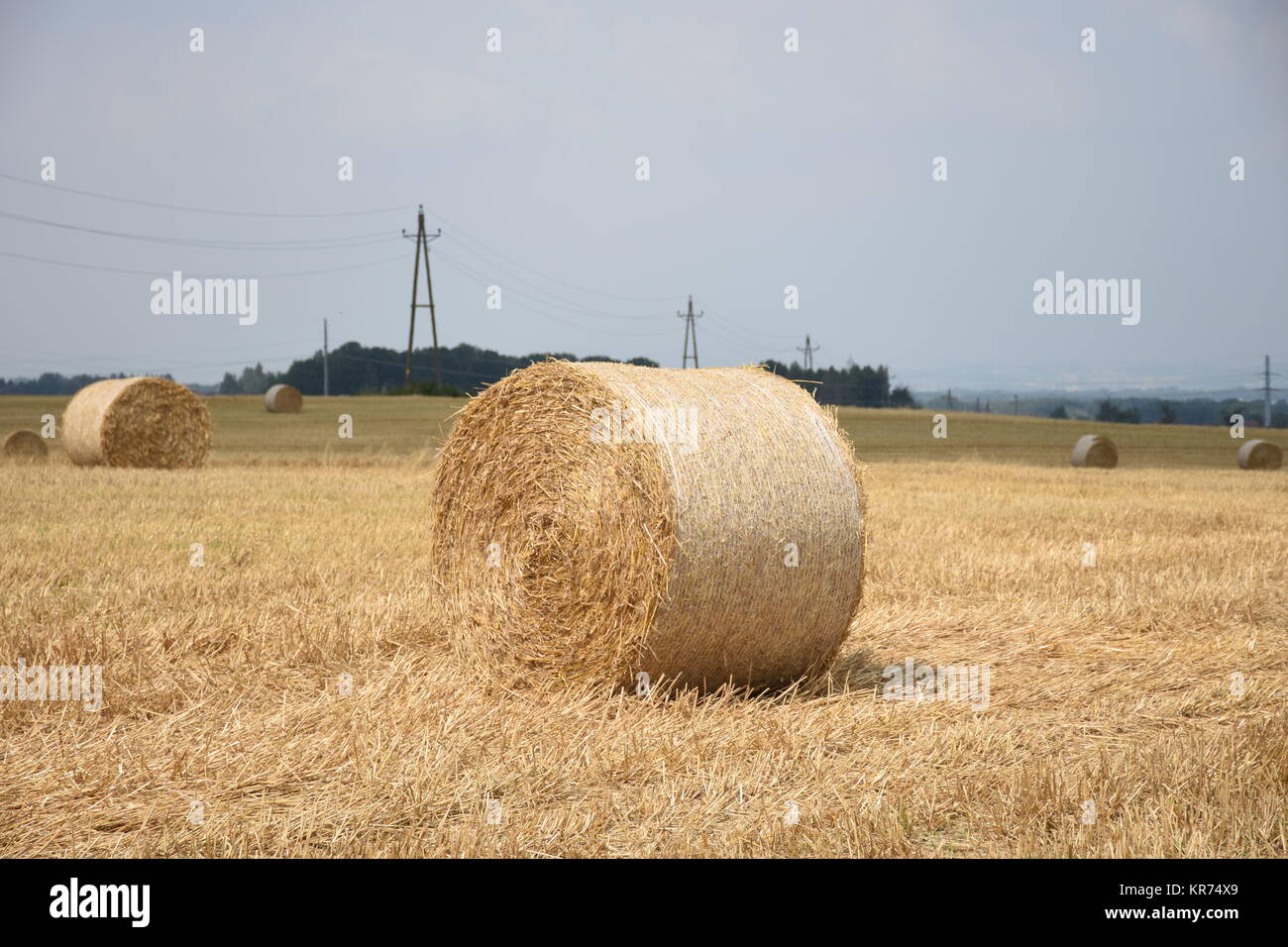 straw,straw bales,hay bales,hay,harvest,field,summer,agriculture,farmer ...