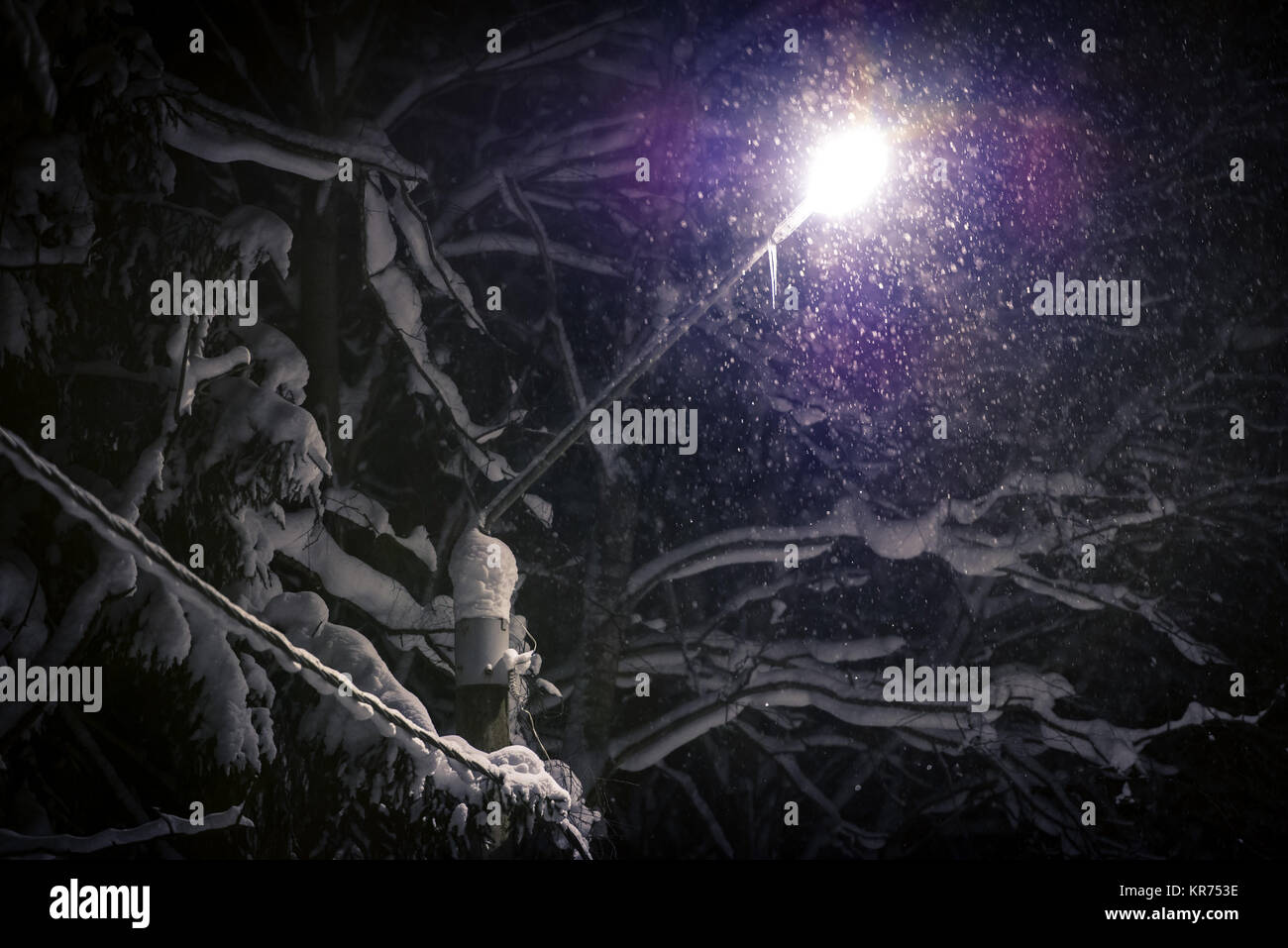 Street light shining through falling snow Stock Photo - Alamy