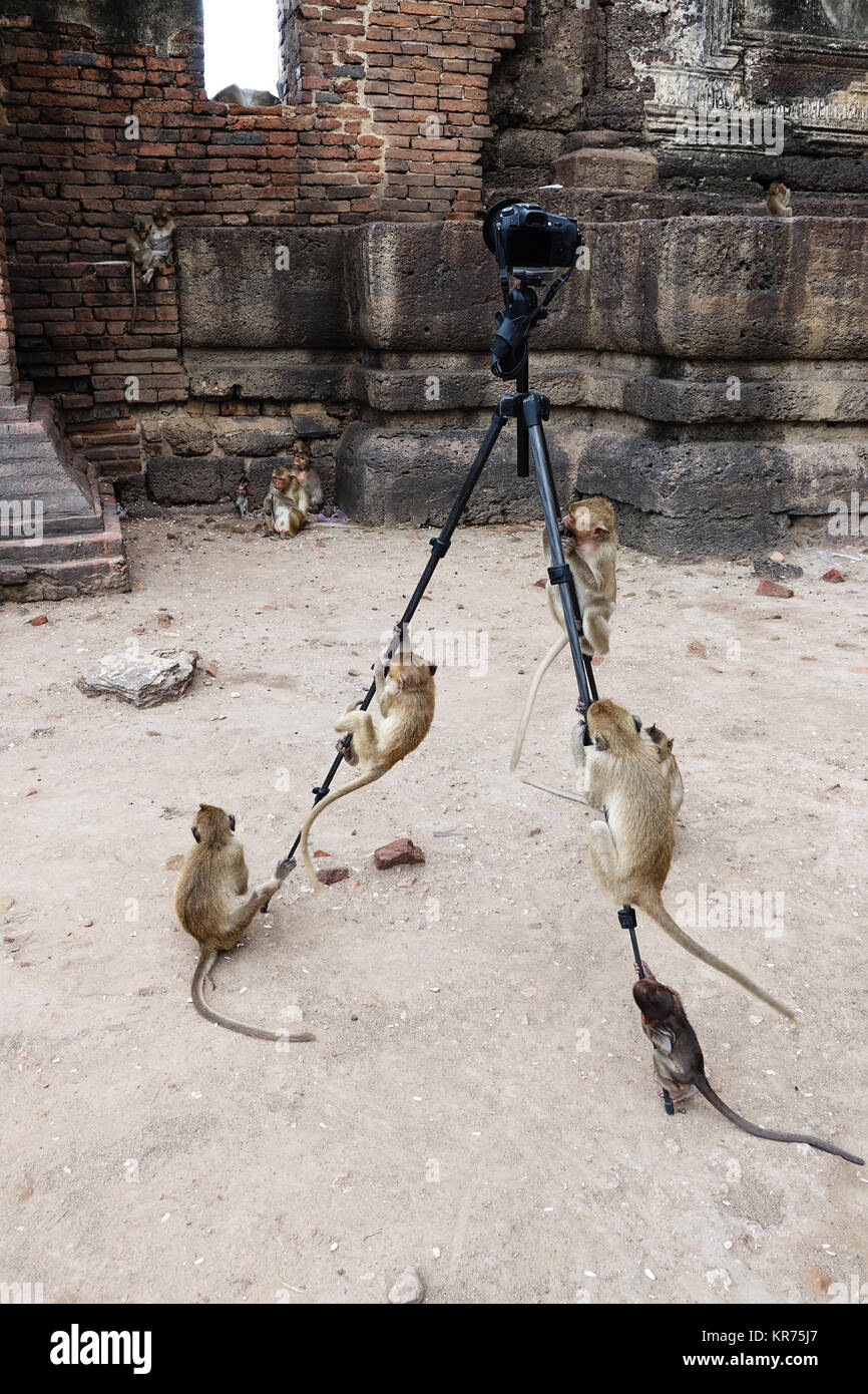 photographing funny scene Stock Photo - Alamy