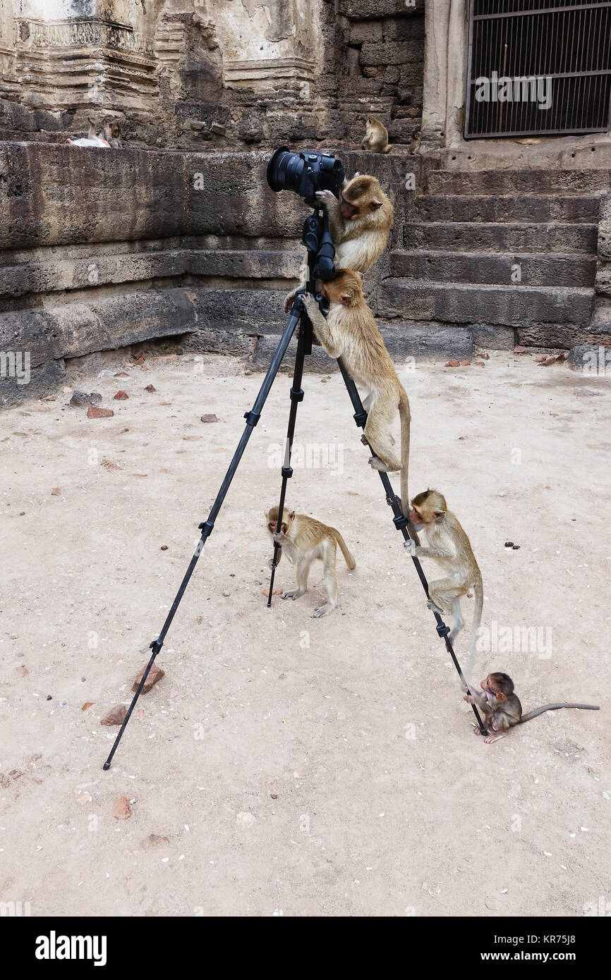 photographing funny scene Stock Photo - Alamy