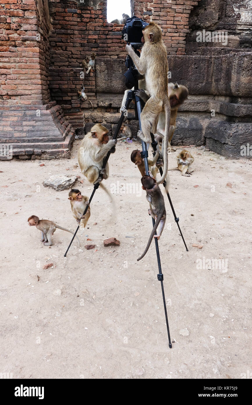 photographing funny scene Stock Photo - Alamy