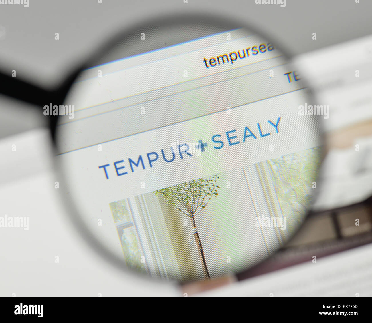 Tempur Sealy Logo