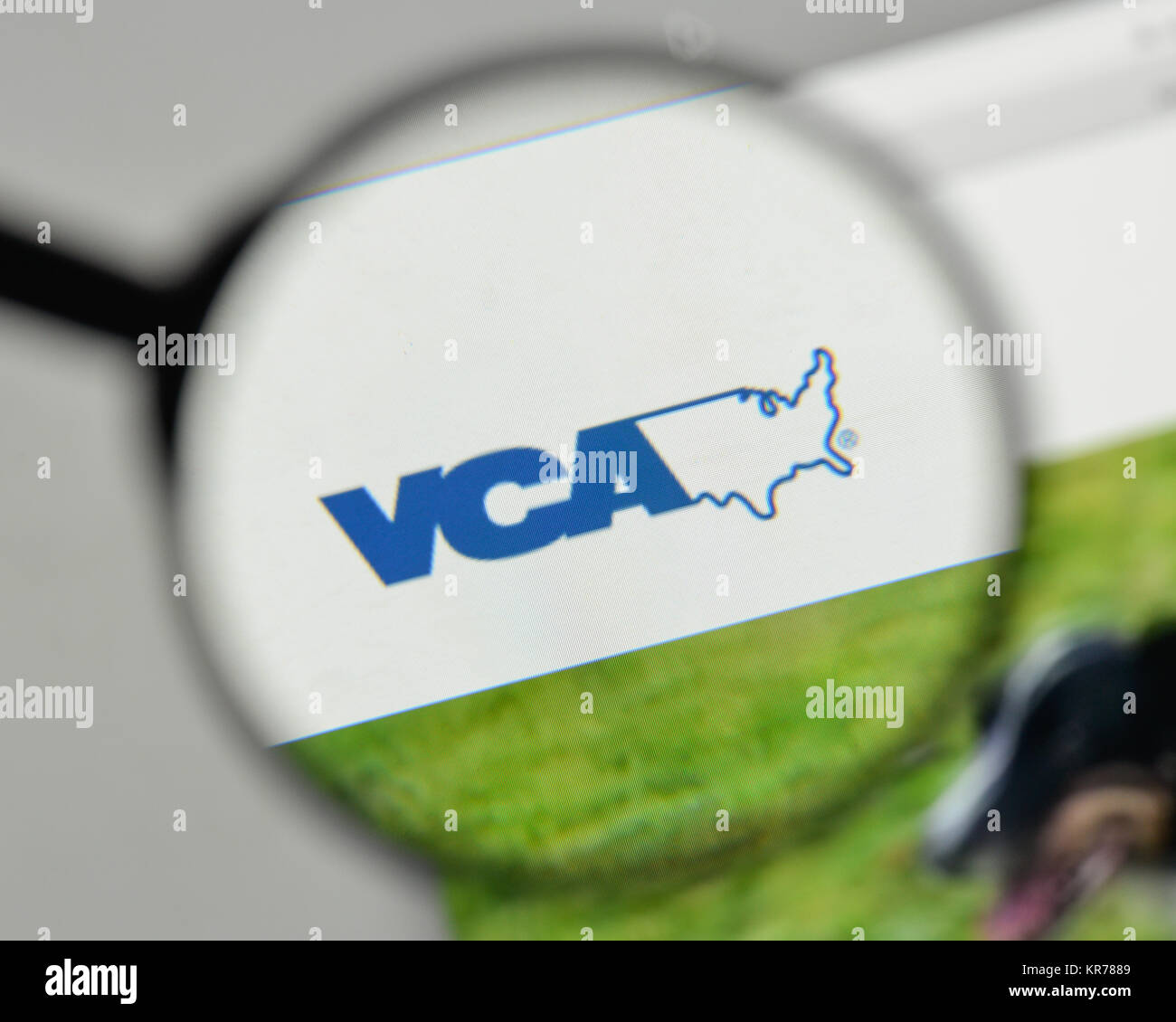 Vca business logo hi-res stock photography and images - Alamy