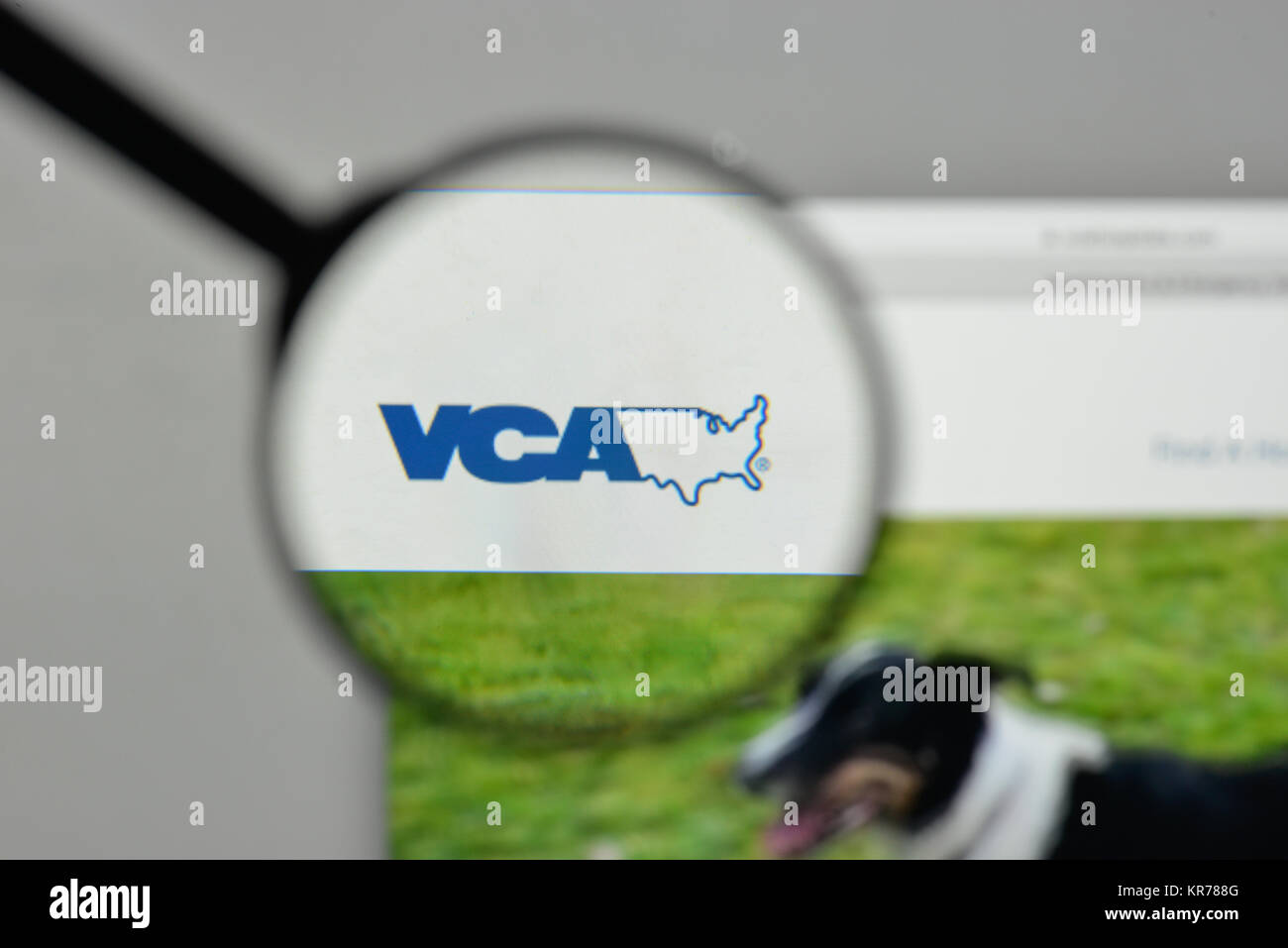 Milan, Italy - November 1, 2017: VCA logo on the website homepage Stock ...