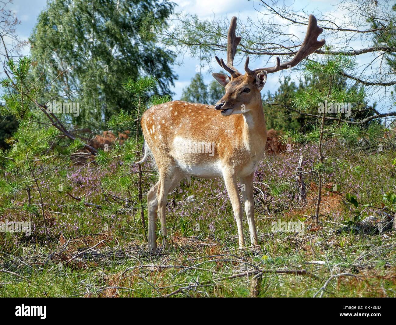 Turn turns around hi-res stock photography and images - Alamy