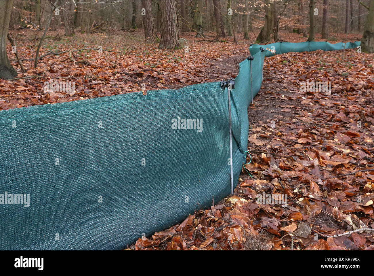Amphibian protection fence hi-res stock photography and images - Alamy