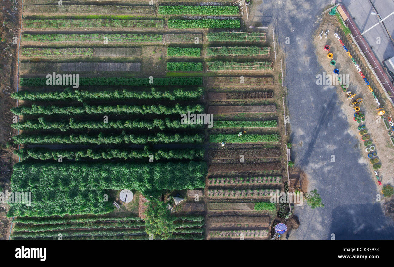 Aerial view of vegetable garden hi-res stock photography and images - Alamy