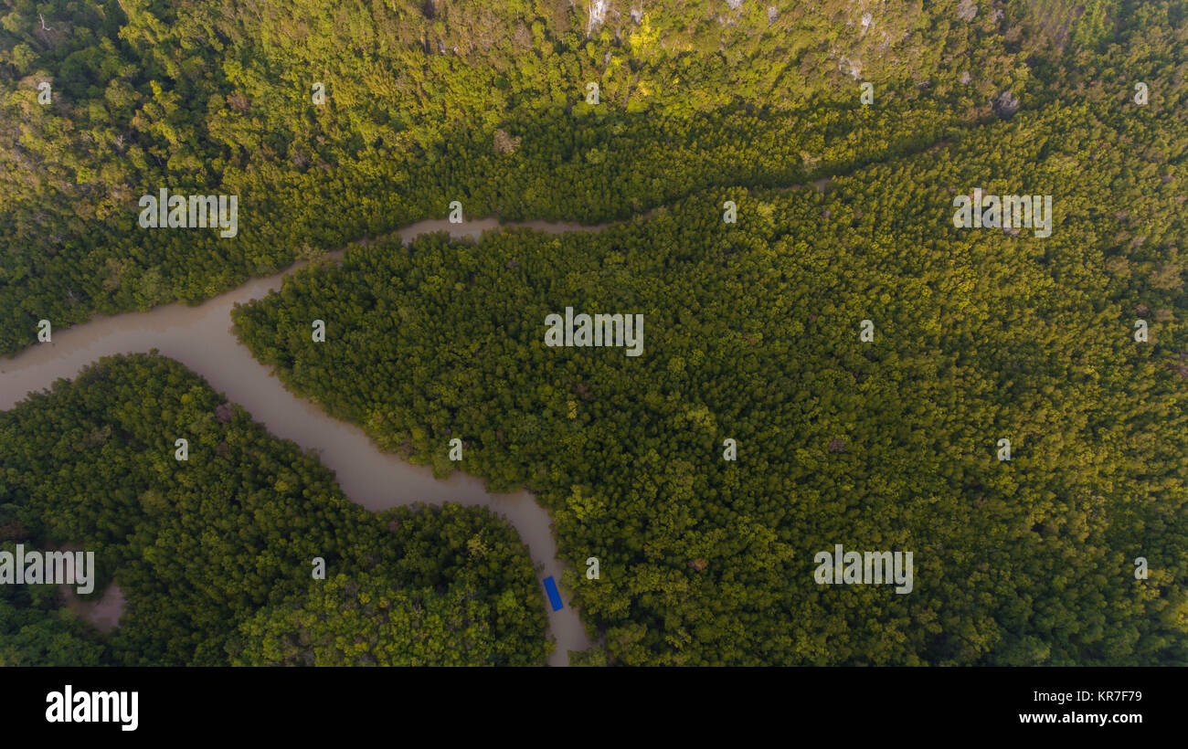 Aerial view mangrove forest tree hi-res stock photography and images ...