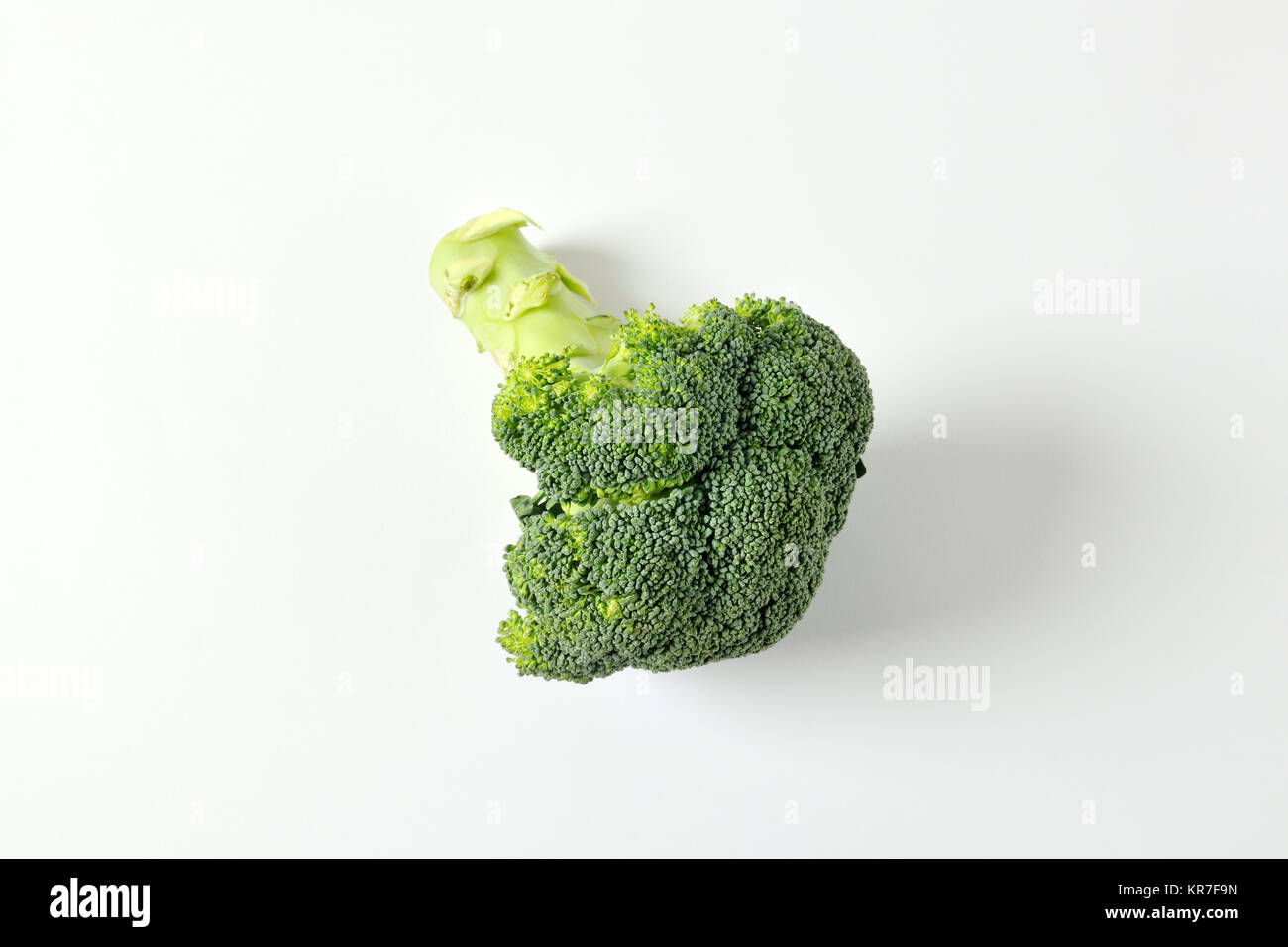 Fresh head of broccoli Stock Photo - Alamy