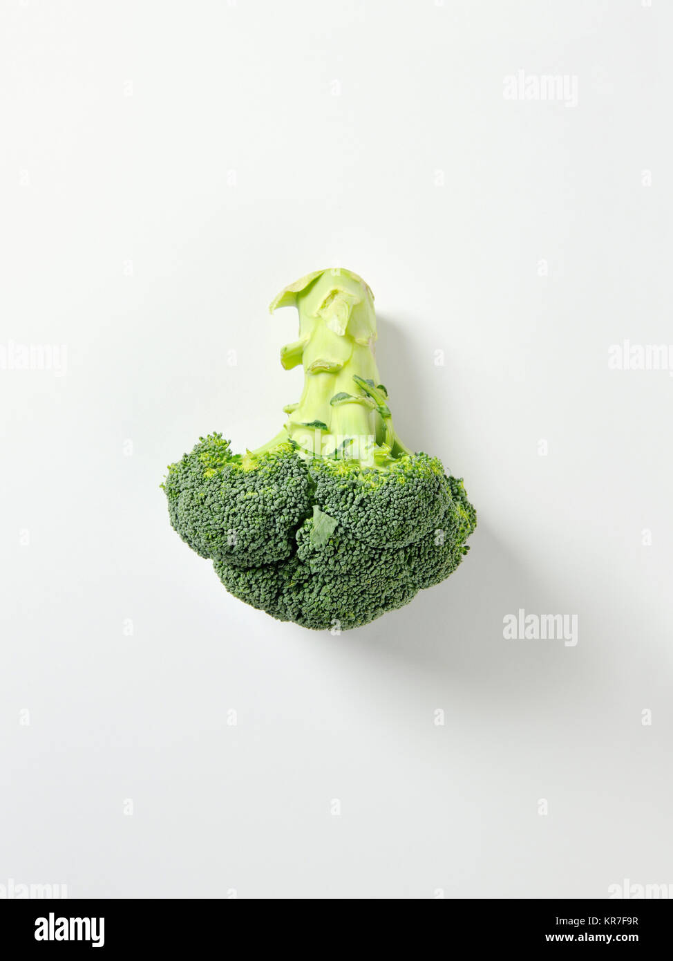 Fresh head of broccoli Stock Photo - Alamy