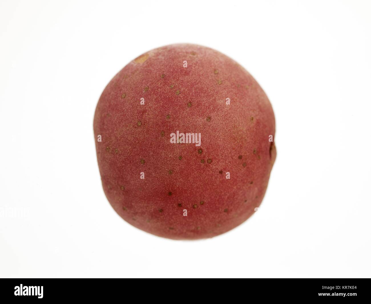 Up Close Potato Stock Photo - Alamy