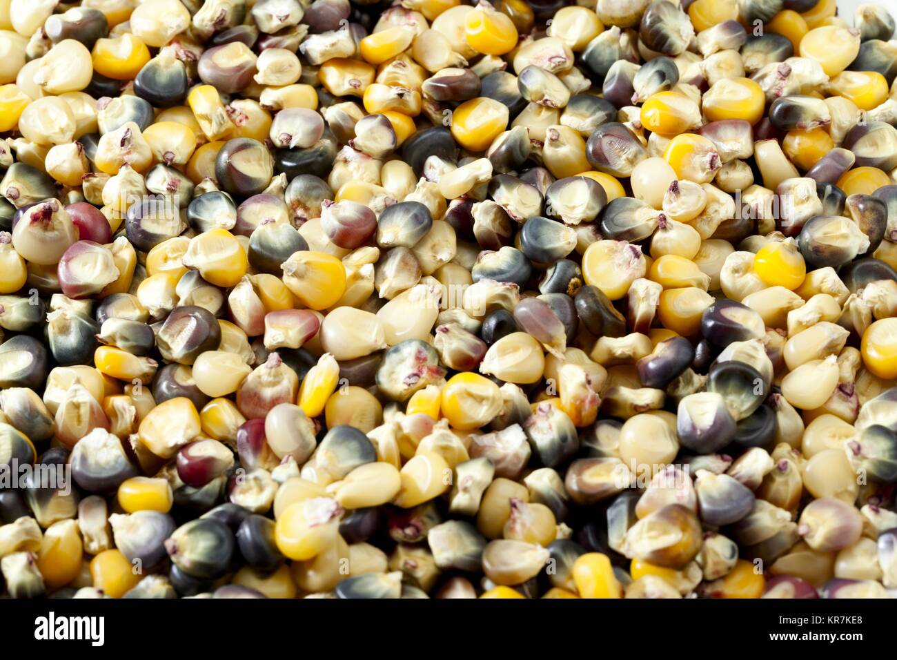 variety of corns Stock Photo - Alamy
