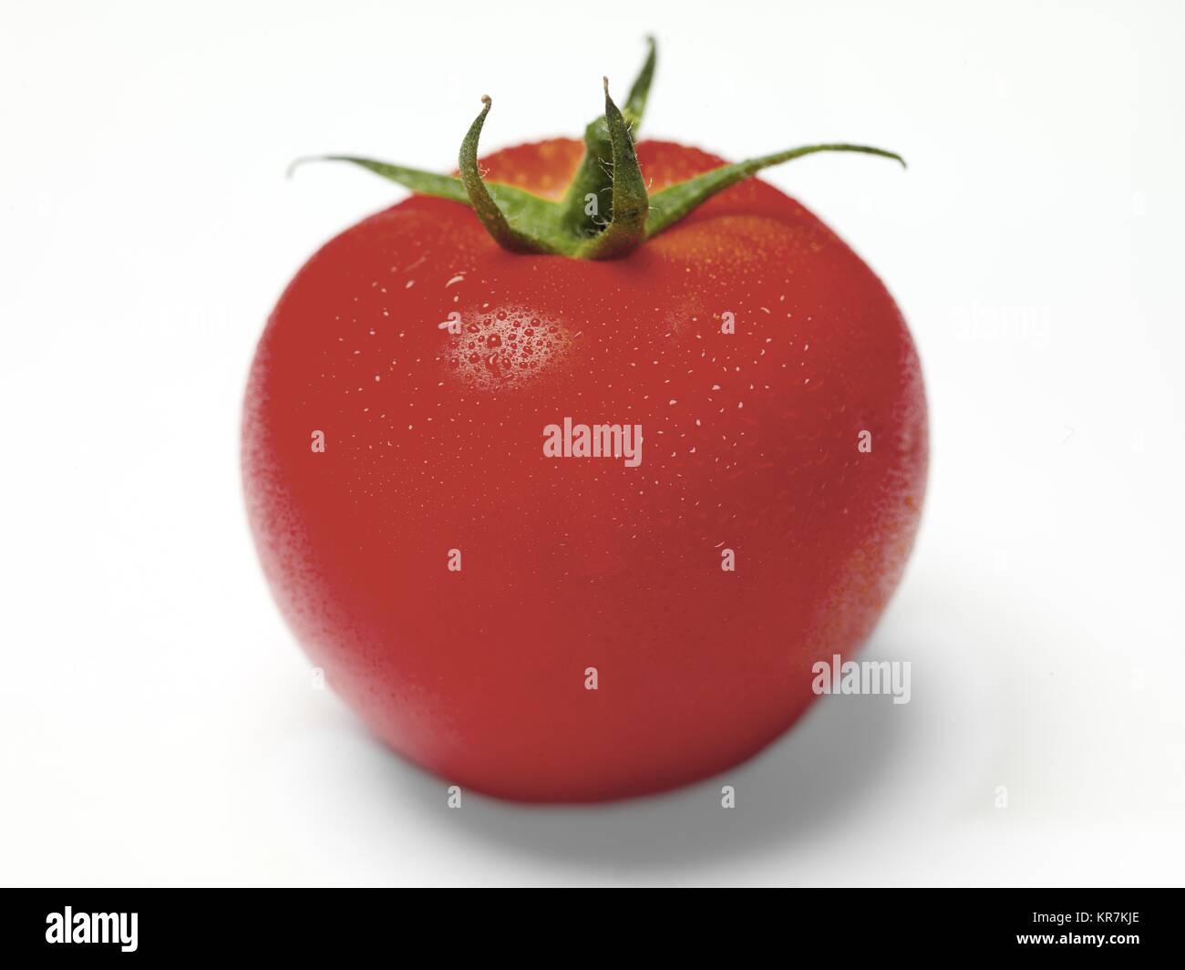 wet single tomato Stock Photo - Alamy