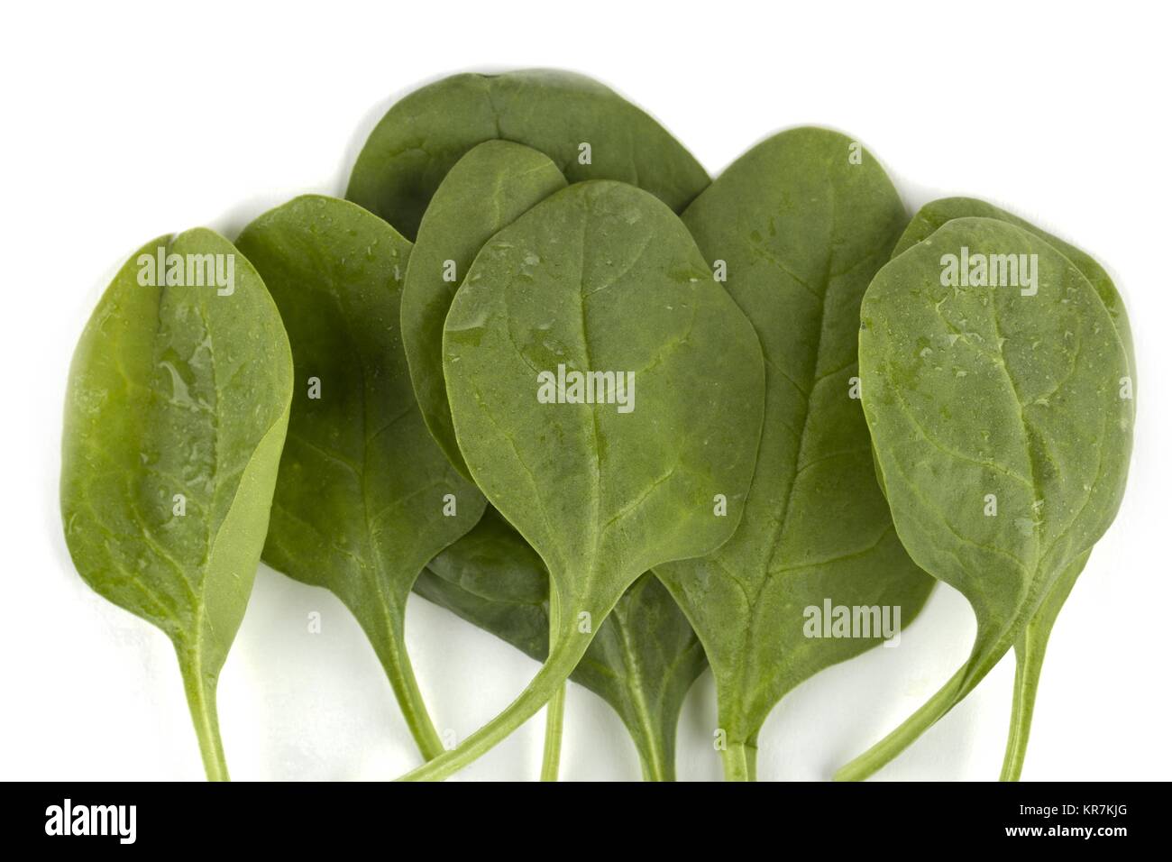 Savoy spinach hi-res stock photography and images - Alamy