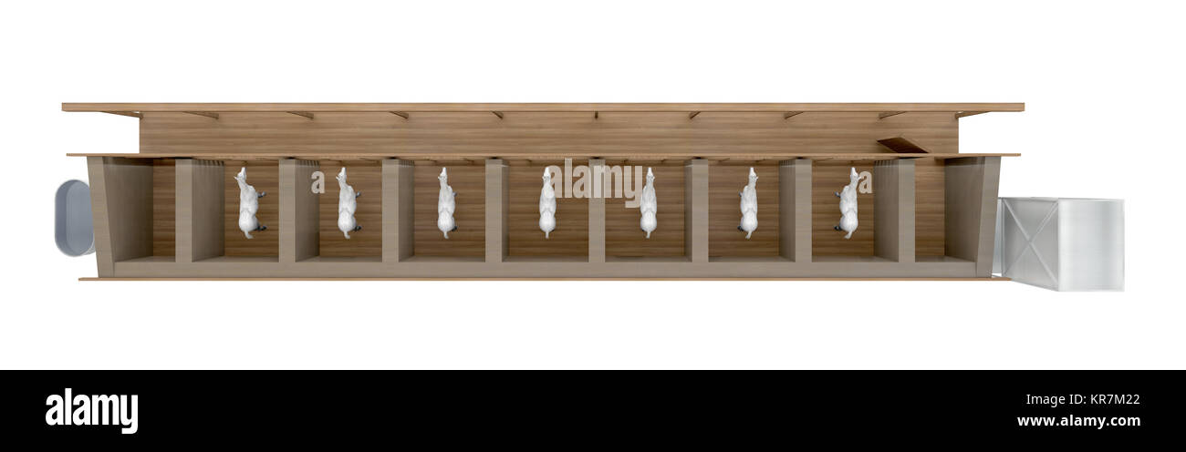 horse stable top view isolated on white. 3d rendering Stock Photo - Alamy
