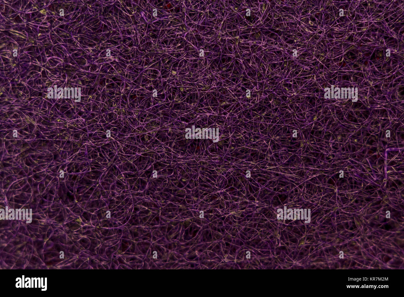 purple sponge macro photo texture bubbles purple color Stock Photo - Alamy