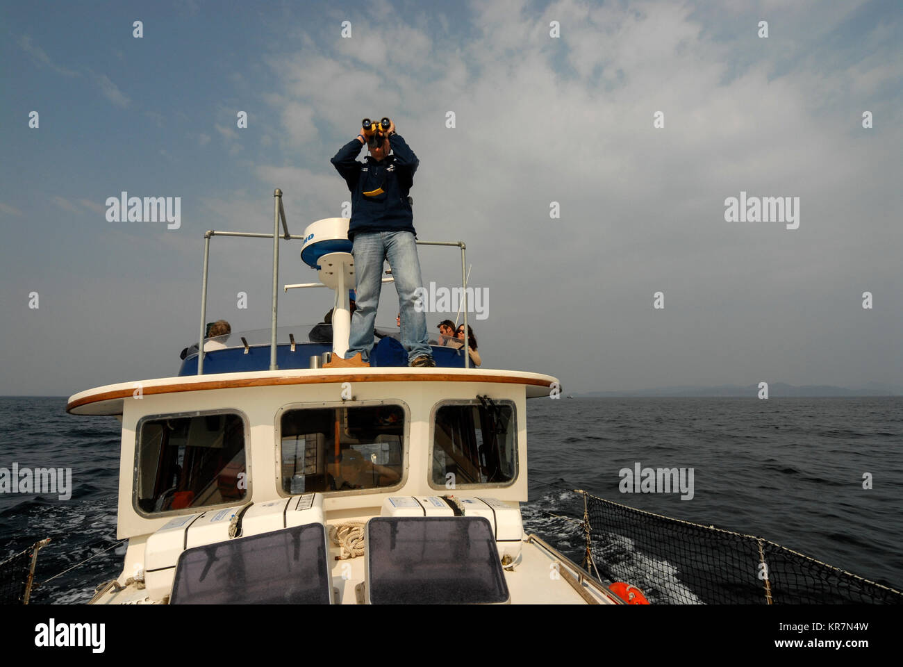 Keeping a sharp lookout for any signs of Minke Whale and sea birds on ...