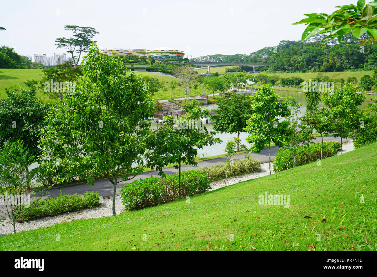 View of the Punggol Waterway park located along Sentul Crescent Road in ...