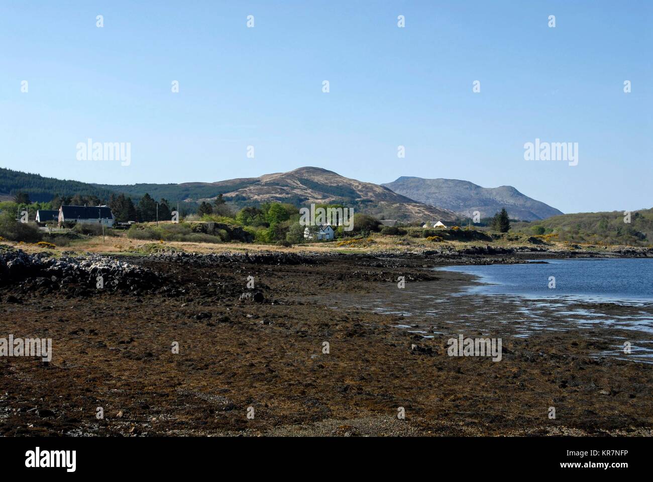 A stretch of wild rocky coastline of the Sound of Mull on the Isle of ...