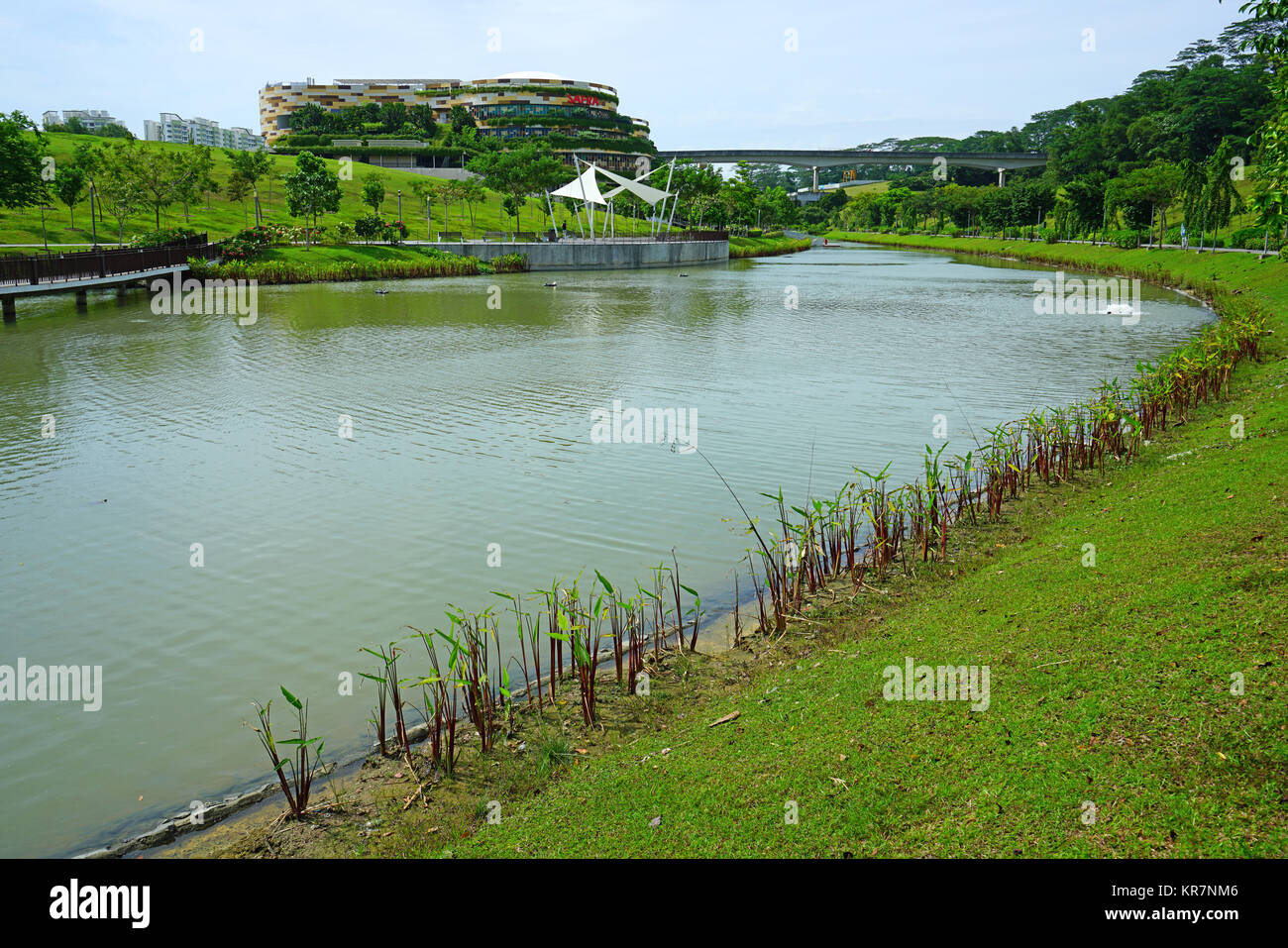 View of the Punggol Waterway park located along Sentul Crescent Road in ...