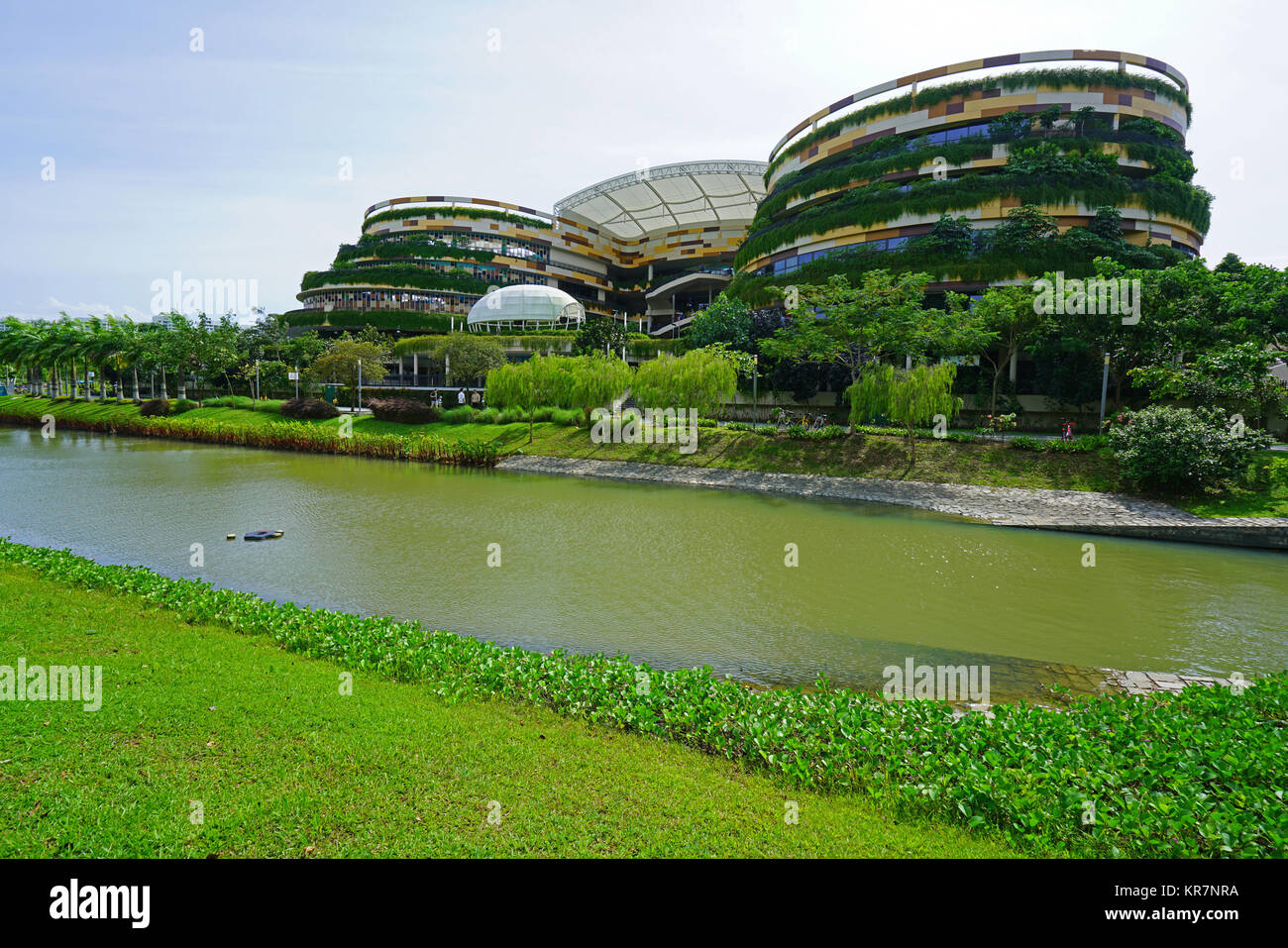 View of the Punggol Waterway park located along Sentul Crescent Road in ...