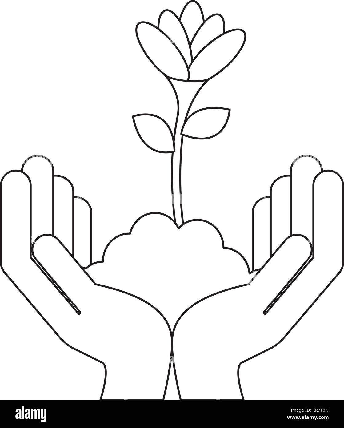 hands with beautiful flower in grown Stock Vector Image & Art - Alamy