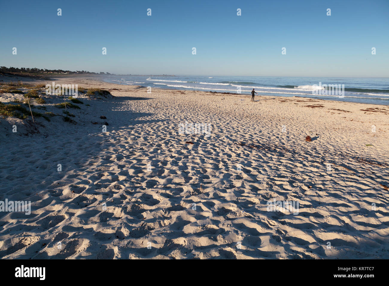 Asilomar State Beach near Pacific Grove Stock Photo - Alamy