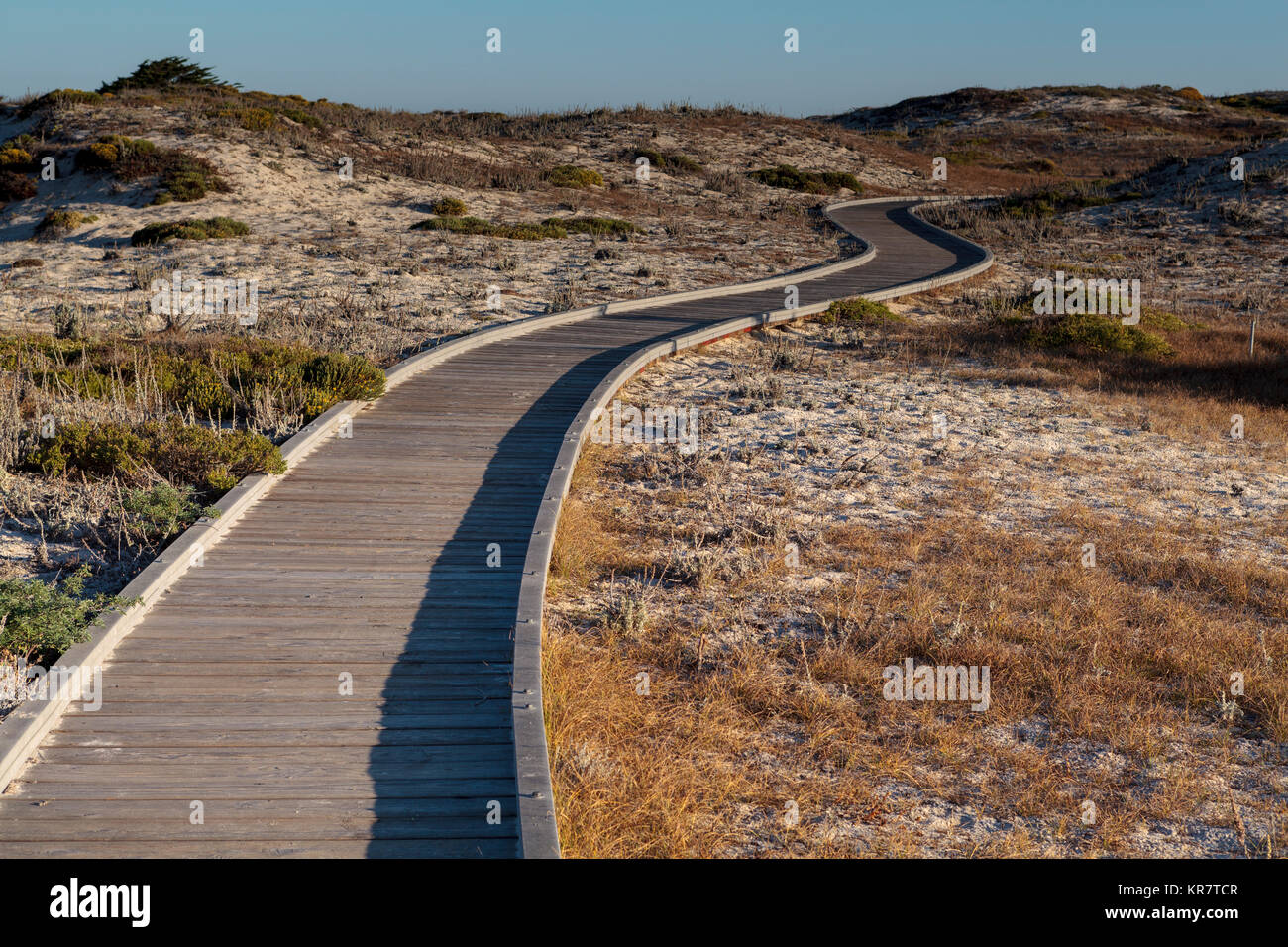 Asilomar State Beach near Pacific Grove Stock Photo - Alamy