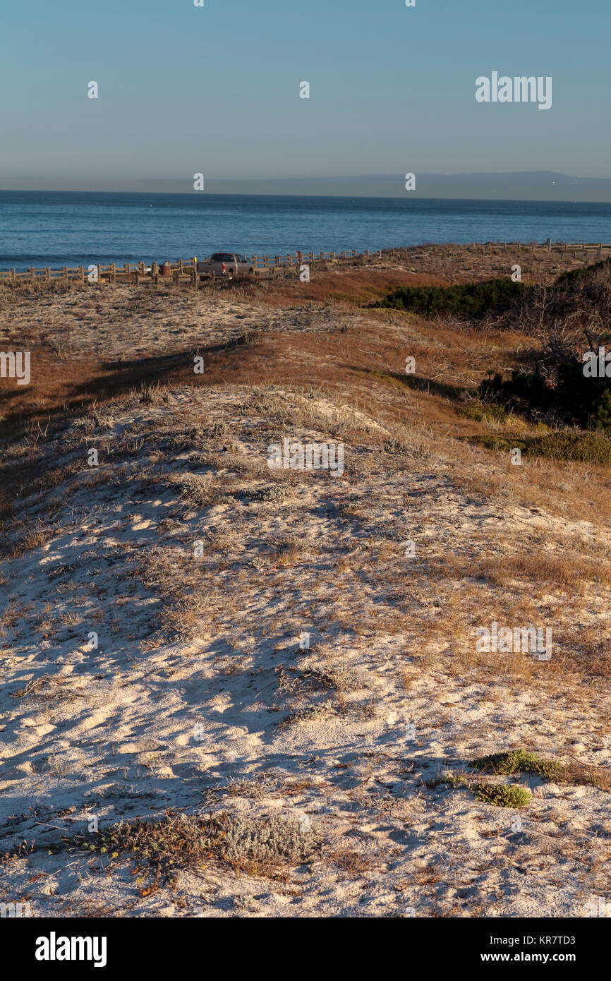 Asilomar State Beach near Pacific Grove Stock Photo - Alamy