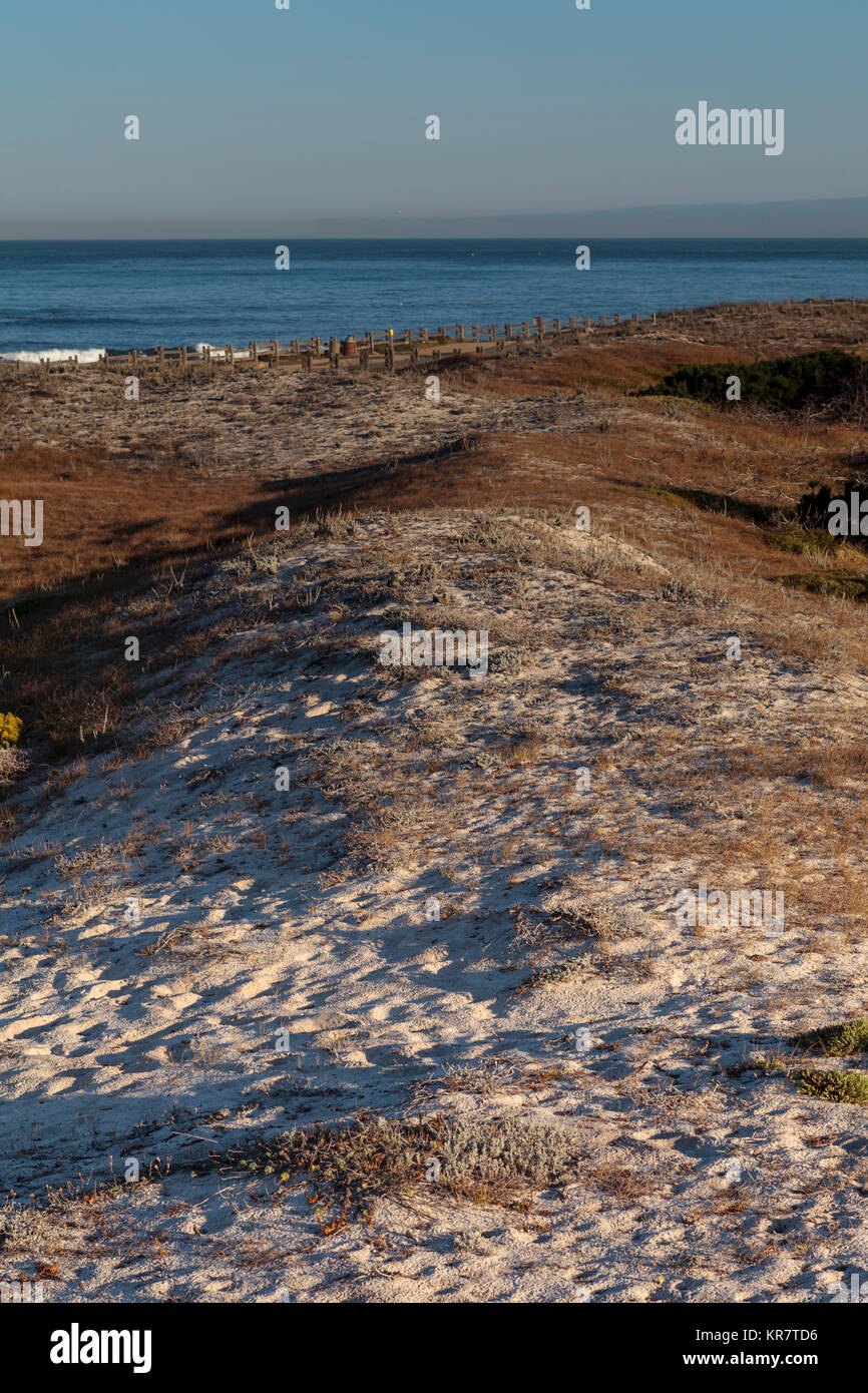 Asilomar conference grounds hi-res stock photography and images - Alamy