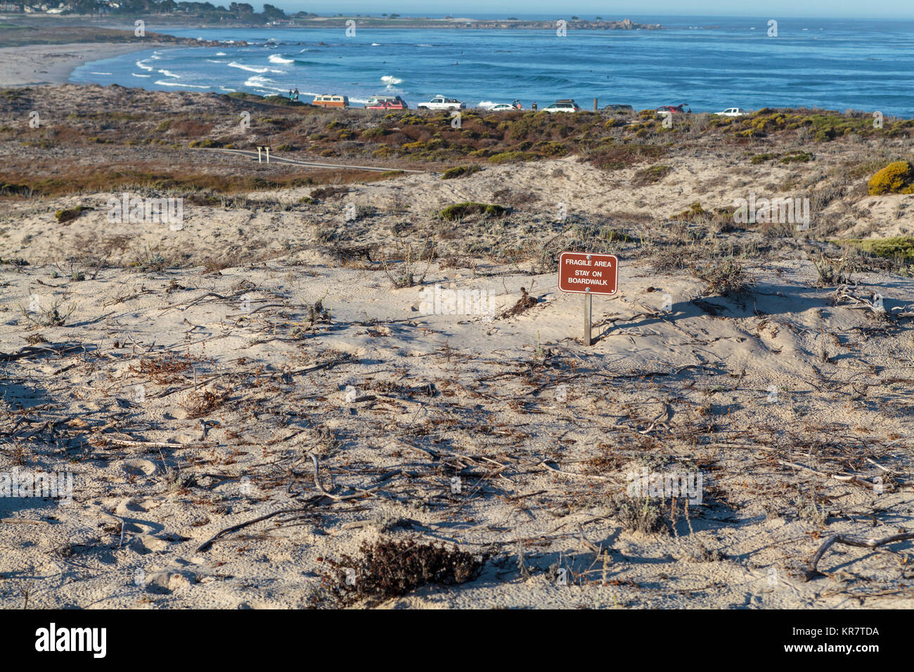 Asilomar State Beach near Pacific Grove Stock Photo - Alamy